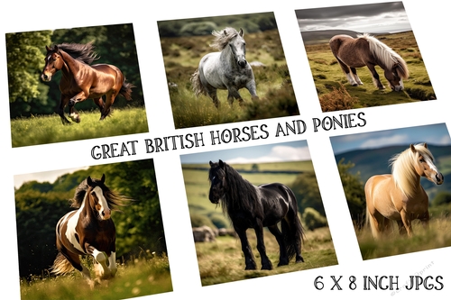 Great British Horses and Ponies In The Countryside - Set of Photographs ...