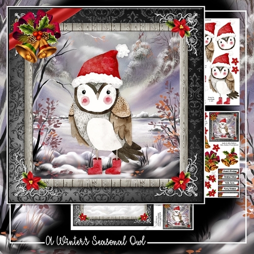A Winters Seasonal Owl - CUP902826_1056 | Craftsuprint