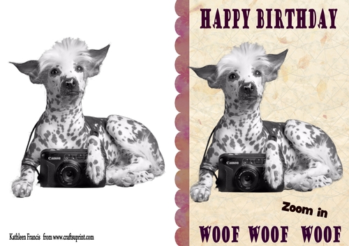 Woof Birthday - CUP1026734_3369 | Craftsuprint