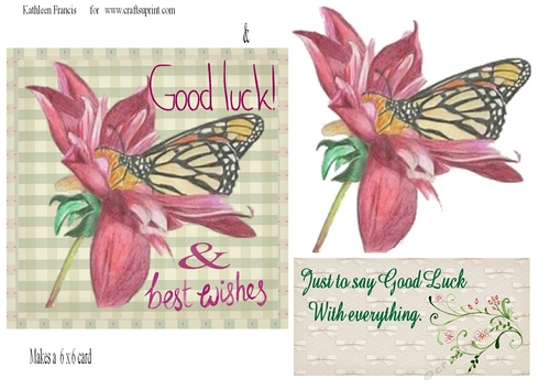 6x6 Good Luck and Best wishes and Insert. - CUP1165948_3369 | Craftsuprint