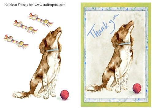 Thankyou, Spaniel - CUP980736_3369 | Craftsuprint