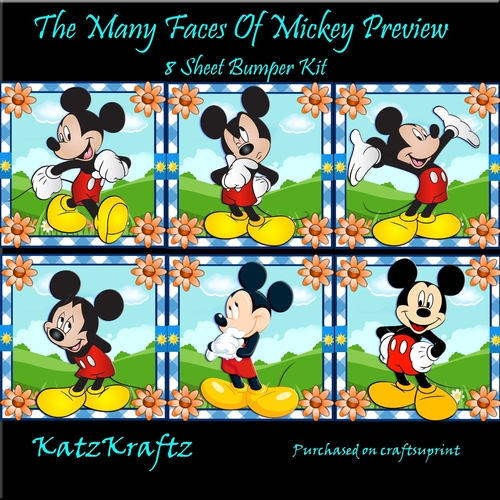 The Many Faces Of Mickey Bumper Kit - CUP771889_77860 | Craftsuprint