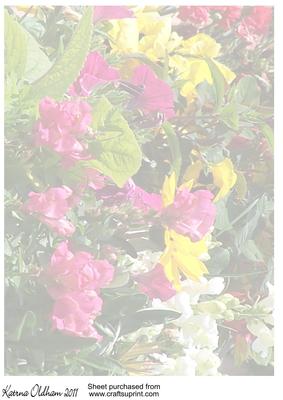 Floral Backing Sheet 3 - CUP225351_736 | Craftsuprint