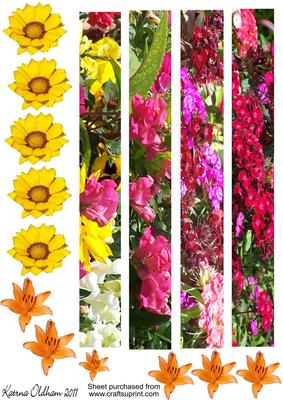 Floral Borders with Embellishments - CUP225478_736 | Craftsuprint