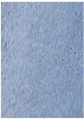 Water Effects Backing Paper - CUP83704_736 | Craftsuprint