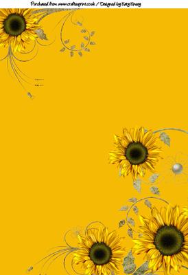 Sunflowers Backing Paper - CUP214633_572 | Craftsuprint