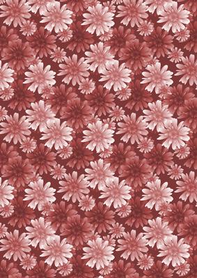 Blooms in Red A4 Backing Paper - CUP317170_572 | Craftsuprint