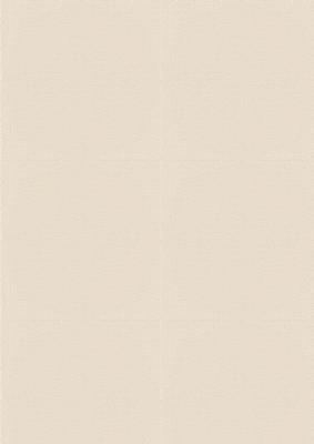 Canvas Effect A4 Backing Paper in Cream - CUP318750_572 | Craftsuprint