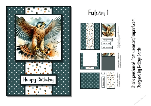 Falcon 1 - CUP1330969_114308 | Craftsuprint