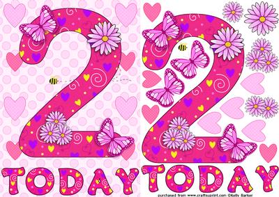 Two Today Girl Butterflies and Flowers A5 Decoupage - CUP531544_1028 ...