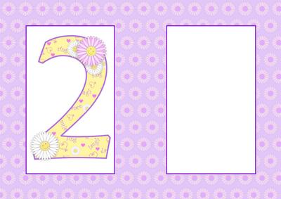 Two Today Birthday Daisies A5 Insert - CUP631187_1028 | Craftsuprint