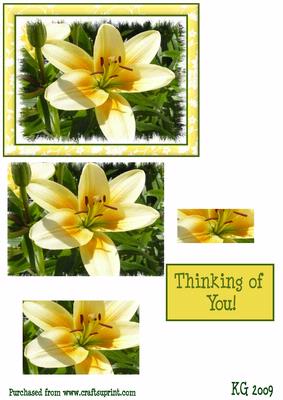 Yellow Lily - CUP13187_63 | Craftsuprint