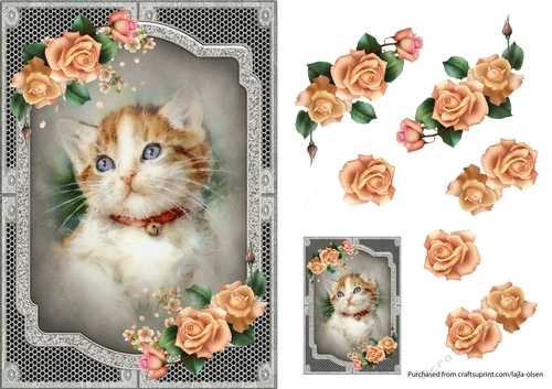 Orange roses and a cat - CUP744681_2328 | Craftsuprint