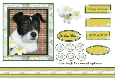 Archie Topper - CUP420692_3 | Craftsuprint