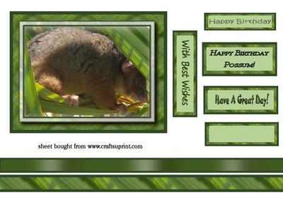 Little Possum Topper - CUP427896_3 | Craftsuprint