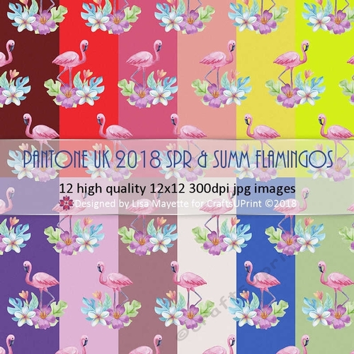 Pantone UK 2018 Spring & Summer Flamingos - CUP858556_2195 | Craftsuprint