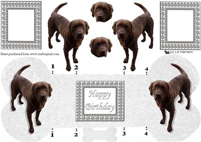 Chocolate Labrador Bone Shaped Card - CUP166963_15 | Craftsuprint