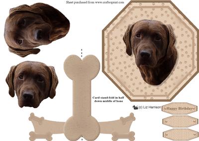 Chocolate Labrador Plate Shaped Card & Stand - CUP181689_15 | Craftsuprint