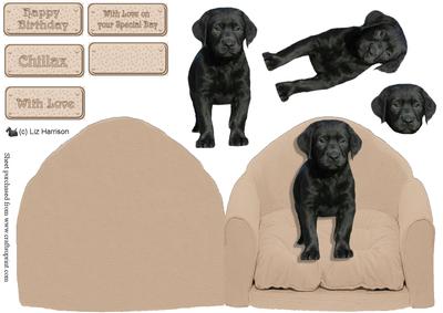 Black Labrador Puppy on a Chair - CUP210737_15 | Craftsuprint