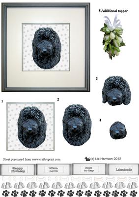 Labradoodle Portrait 3D Decoupage - CUP323199_15 | Craftsuprint