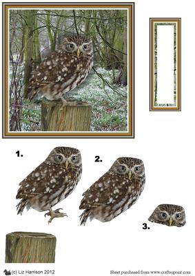 Little Owl 3D Decoupage - CUP338581_15 | Craftsuprint