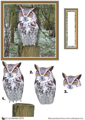 Long Eared Owl 3D Decoupage - CUP338589_15 | Craftsuprint