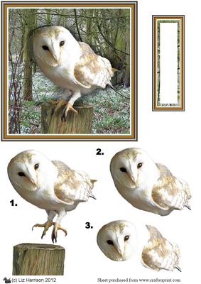 Barn Owl 3D Decoupage - CUP338602_15 | Craftsuprint