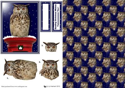 Eagle Owl Post Box with Background 3D Decouapge - CUP348078_15 ...