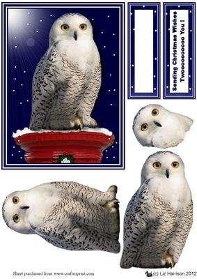 Snowy Owl Post Box 3D Decoupage - CUP348080_15 | Craftsuprint