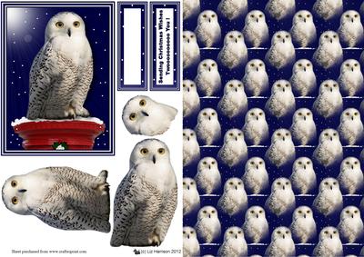 Snowy Owl Post Box with Background Sheet 3D Decoupage - CUP348083_15 ...