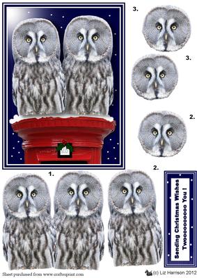 Great Grey Owls Post Box 3D Decoupage - CUP348086_15 | Craftsuprint