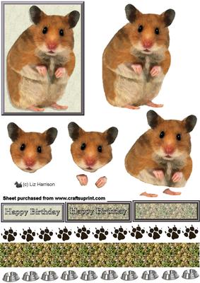 Hamster 3D Decoupage - CUP35677_15 | Craftsuprint
