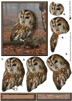 Tawny Owl Woodland Scene 3D Decoupage - CUP357040_15 | Craftsuprint