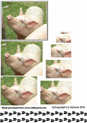 Pig Smiling Pyramid - CUP39463_15 | Craftsuprint