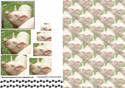 Pig Smiling Pyramid with Background - CUP39464_15 | Craftsuprint