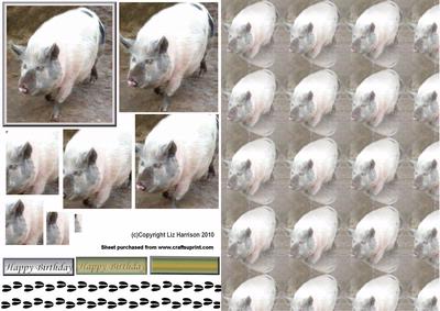 Pig 3D Pyramid with Background - CUP39468_15 | Craftsuprint