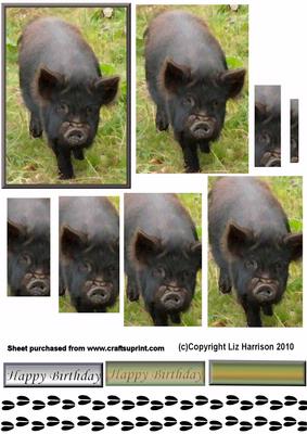 Pot Bellied Pig Pyramid - CUP39870_15 | Craftsuprint