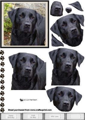 Black Labrador Portrait 3D Decoupage - CUP40704_15 | Craftsuprint