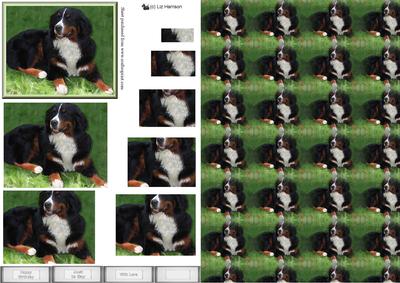 Bernese Mountain Dog Pyramid with Background - CUP41136_15 | Craftsuprint