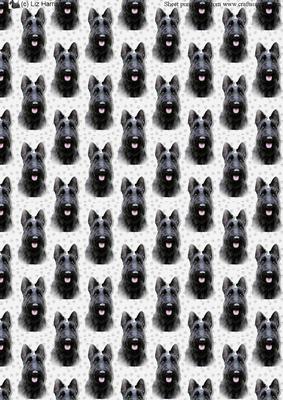 Scottie Dog Portriat Background - CUP436154_15 | Craftsuprint