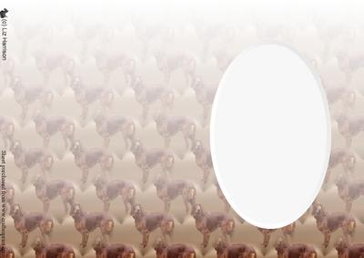 Irish Red Setter Insert Sheet - CUP479223_15 | Craftsuprint