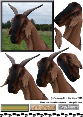 Goat Smiling Portrait 3D Decoupage - CUP47954_15 | Craftsuprint