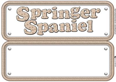 Springer Spaniel Name Sign Insert - CUP519368_15 | Craftsuprint