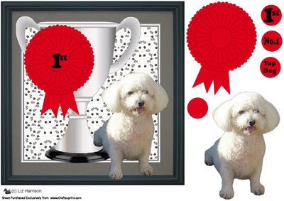 Bichon Frise Trophy and Rosette 8x8 Card - CUP522435_15 | Craftsuprint