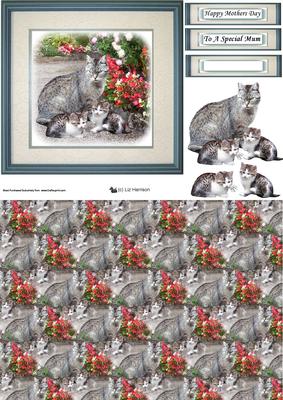 Cat & Kittens 3D Decoupage Sheet with Background - CUP526572_15 ...