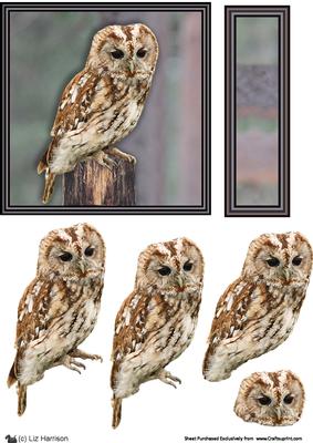 Tawny Owl 3D Decoupage - CUP538592_15 | Craftsuprint