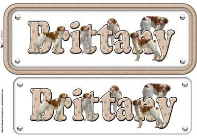 Brittany Name Sign - CUP567592_15 | Craftsuprint