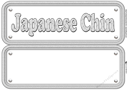 Japanese Chin Name Sign Insert - CUP767206_15 | Craftsuprint
