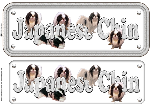 Japanese Chin Name Sign - CUP767220_15 | Craftsuprint