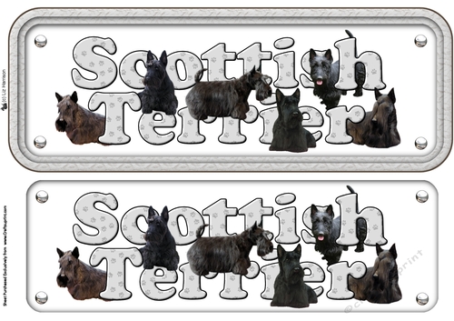 Scottish Terrier Name Sign - CUP807551_15 | Craftsuprint
